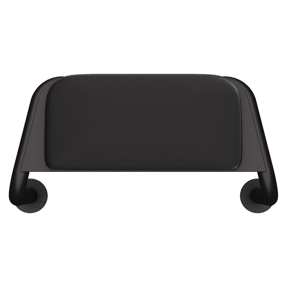 Fienza Stainless Steel Back Rest Matte Black For Accessible Toilet